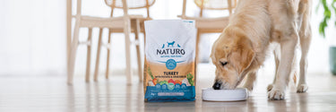 Natural Dog Food UK | Why Naturo is Different | Naturo – Naturo Pet Food