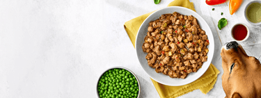 Dog Food Variety Packs | Naturo Pet Foods